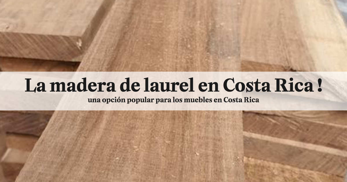 La madera de laurel en Costa Rica: usos, ventajas e inconvenientes en ...